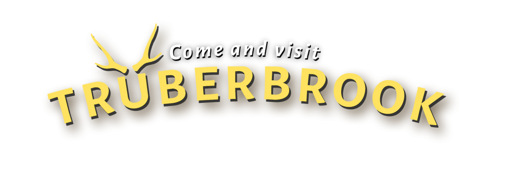 Truberbrook - Beep